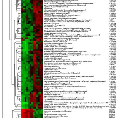 condition trees of clustering analysis the hierarchical cluster