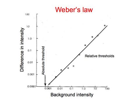 Webers Law Psychology