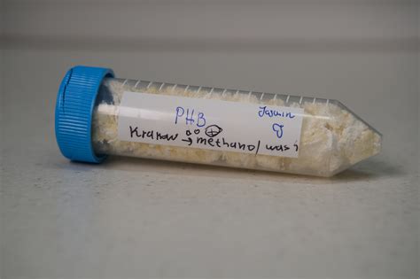 Polyhydroxybutyrate Phb Bioplastic Madein Platform