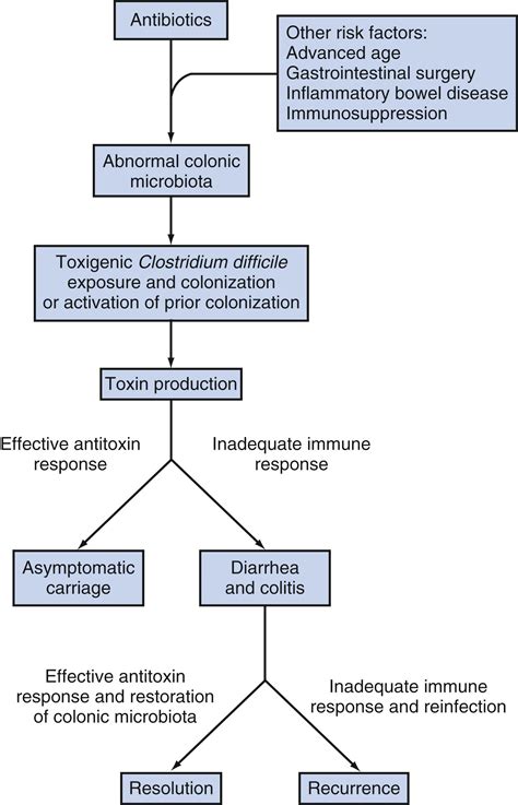 Clostridioides Difficile Clinical Tree