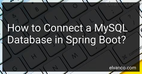 How To Connect A Mysql Database In Spring Boot In 2025
