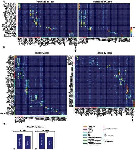 Decomposition By Nnls A Nnls Coecients Of Neuroseq Cell Types By Two