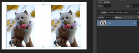 Can T Merge Selected Pixel And Image Layers Why Not ARCHIVE 2 5 2 4 2 3 2 2 2 1 Other