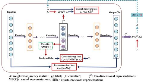 The Framework Of Cae Download Scientific Diagram