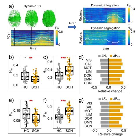 dynamic segregation and integration a schematic diagram of dynamic