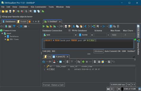 跨平台数据库管理工具 Dbvisualizer110 深度推荐 Csdn博客