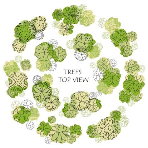 Tree For Architectural Floor Plans Entourage Design Various Trees Bushes And Shr