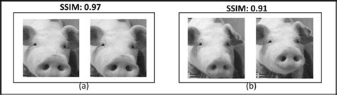 The Example Samples Of The Results For Image Filtering By Using