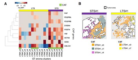 空间转录组学联合单细胞转录组学揭示卵巢癌生存相关受配体对 生信探索 博客园