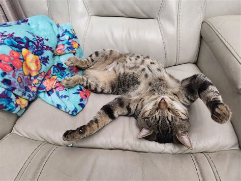 Posted my little man sleeping like a derp last week and today he manage to do this : r ...