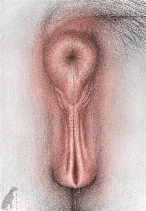 Rule 34 2016 Anatomically Correct Anatomically Correct Pussy Animal