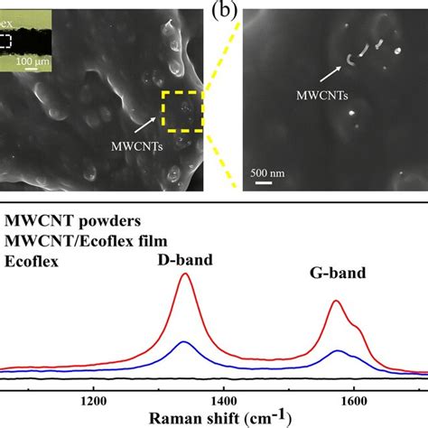 Ae Schematic Preparation Process Of Mwcnt Lineecoflex Strain Sensor Download Scientific