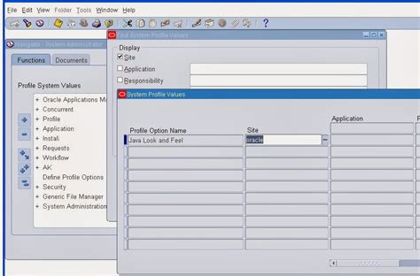 Changing The Look And Feel Of Oracle EBS Environment POiSON WORLD