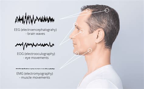 Eeg Electroencephalography The Complete Pocket Guide Imotions