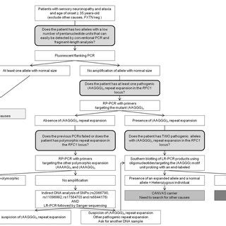 Flowchart For RFC Testing Download Scientific Diagram