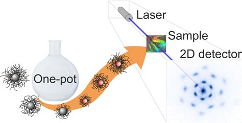 New Article Published In Special Issue Thermoresponsive Microgels Of Gels