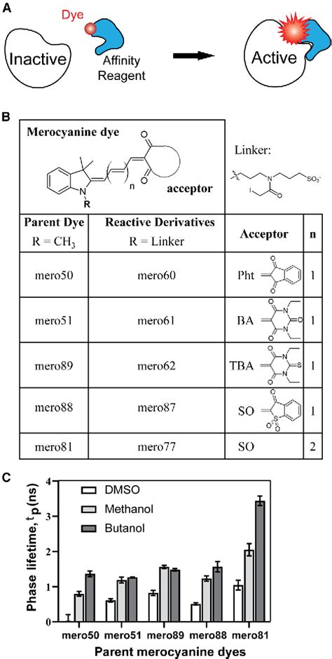Figure 1 From Live Cell Biosensors Based On The Fluorescence Lifetime Of Environment Sensing