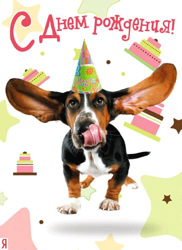 Поздравление С Днем Рождения Собаке Картинки —