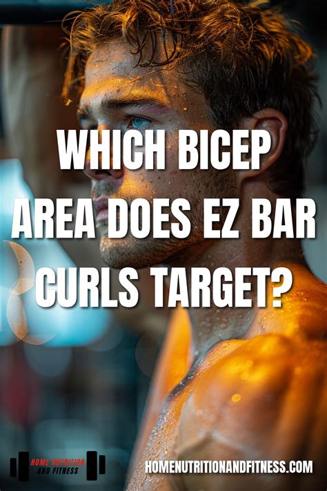 What Part Of The Bicep Do Ez Bar Curls Target Artofit