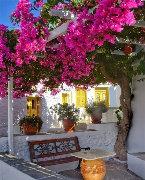 Deck Railing Planter Hooks Transform Your Outdoor Space With Style