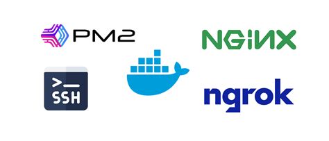 Ngrok Multiple Tunneling And Exposing Local Vm Into Public Nopedawn