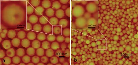Morphology Of Janus Nanoparticles Made Is Polymer Dependent Atomic Download Scientific Diagram