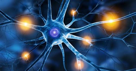 Mathematics Of The Perceptron Neuron Model Roberto Lopez