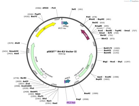Pdest R4 R3 Vector Ii Sequence And Map