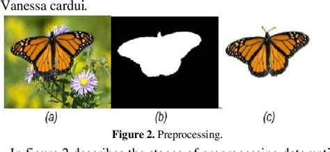 Figure 2 From Butterfly Image Classification Using Color Quantization