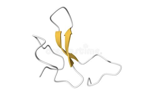 Secondary Structure Protein Stock Illustrations 774 Secondary Structure Protein Stock