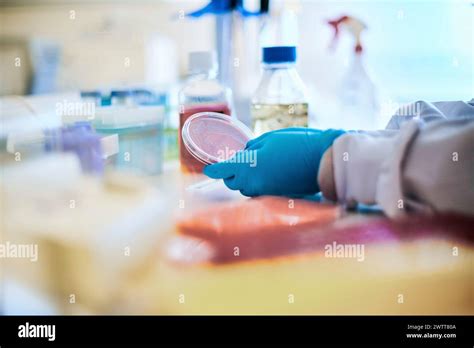 labratory scientist extracting dna and biological material for testing