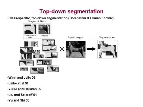 Learning To Combine Bottomup And Topdown Segmentation Anat
