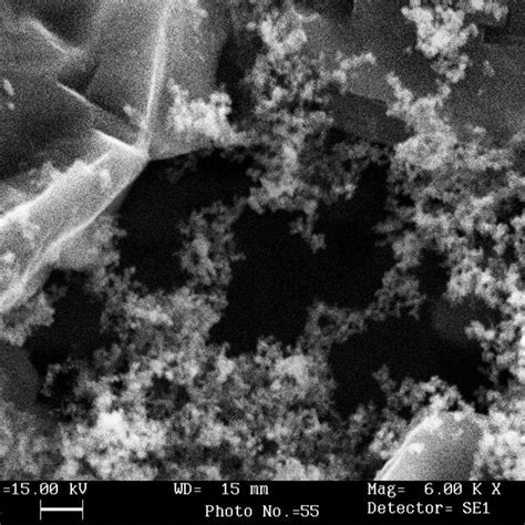Sem Image Of Dendrites Of Diesel Particles Extending Across A Download Scientific Diagram