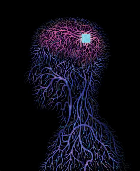 Brain Tech Dadushin
