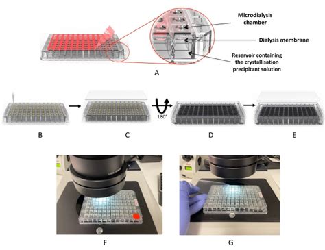 High Throughput Protein Crystallization Via Microdialysis