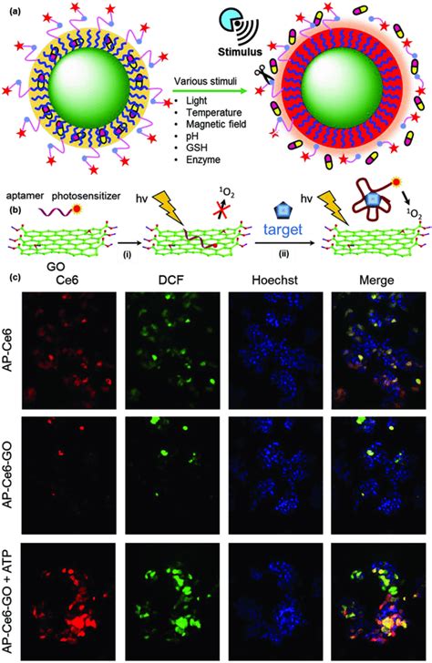 A Introduction Of Stimuli Responsiveness Into Nanomaterials B Download Scientific Diagram