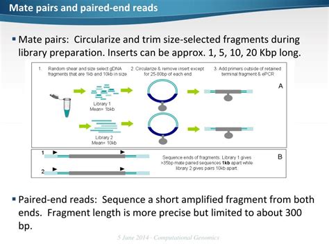 ppt computational genomics genome assembly powerpoint presentation