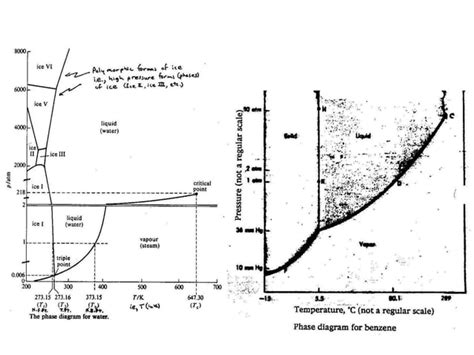 Phase Diagrams Ppt