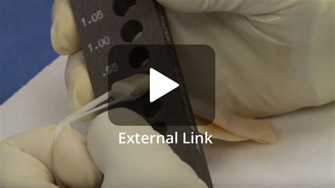 Double Strand Tendon Jrf Ortho Product Details