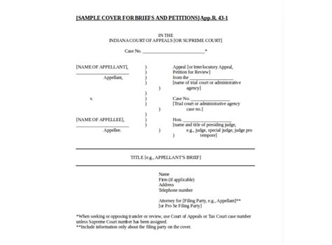 Court Documents Examples For Legal Clarity