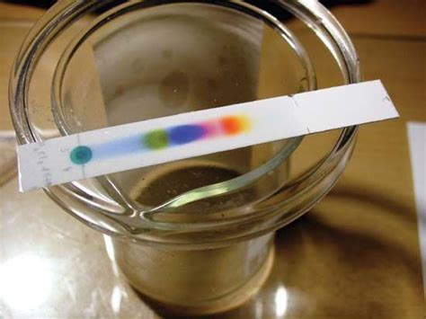 Thin Layer Chromatography Separation Identification Detection Britannica