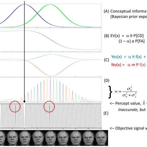 elements of the framework combining signal detection theory and