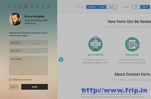 Best Contact Form Plugin Extensions Frip In