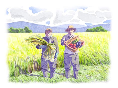 Joso Catalogue Circl