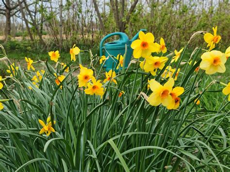 Photo 2023 04 12 19 13 10 Hosted At Imgbb — Imgbb