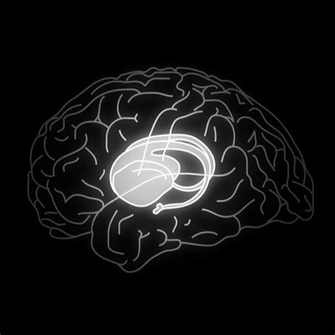 Apkrfkbnxor9zf Jgteybtexxb3t Ijzmnwyszitbudos900 C K C0x00ffffff No Rj