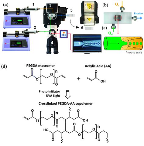 A Schematic Diagram Of The Microfluidic Rig Set Up 1 Continuous