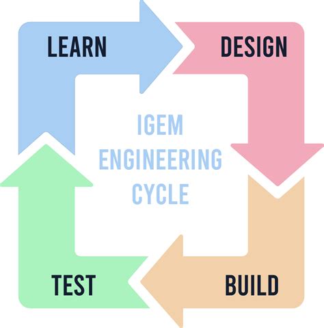 Engineering Success Linkoping Sweden Igem 2022