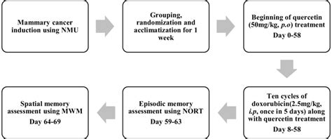 Schematic Representation Of The Study Design Download Scientific Diagram