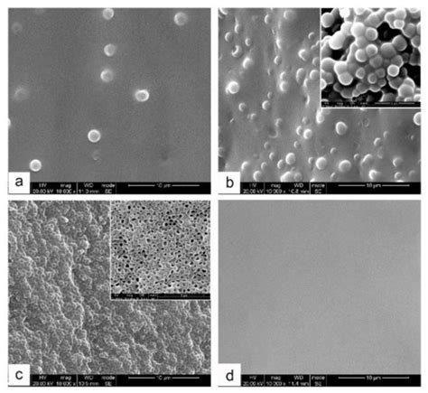 Polymers Special Issue Cross Linked Polymers